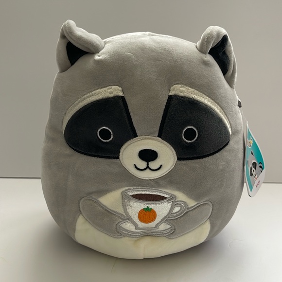 Squishmallows | Toys | Squishmallows Rocky The Raccoon With Pumpkin Tea ...